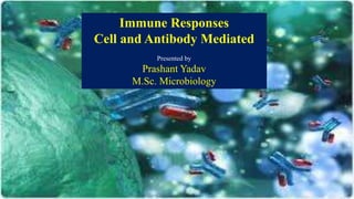 CELL AND HUMORAL immunity 1.pptx