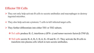 CELL AND HUMORAL immunity 1.pptx