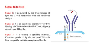 CELL AND HUMORAL immunity 1.pptx
