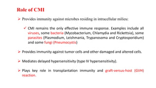 CELL AND HUMORAL immunity 1.pptx