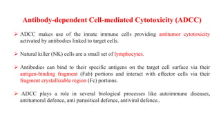 CELL AND HUMORAL immunity 1.pptx