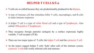 CELL AND HUMORAL immunity 1.pptx