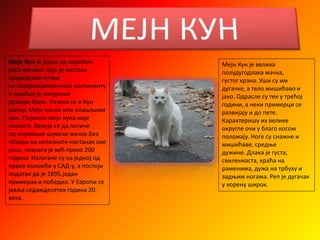 Sisari Svinja Rotvajler Labrador Britanska Kratkodlaka Macka | PPTX