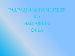 Sisari Svinja Rotvajler Labrador Britanska Kratkodlaka Macka | PPTX