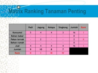 PRA TANAMAN.ppt