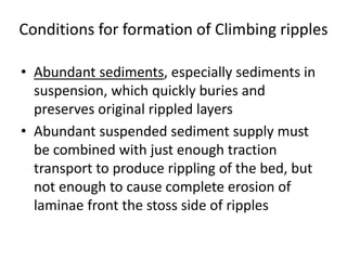 Climbing ripple laminations | PPTX