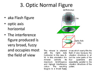 Forms of uniaxial interference figures | PPT