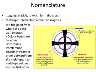 Forms of uniaxial interference figures | PPT