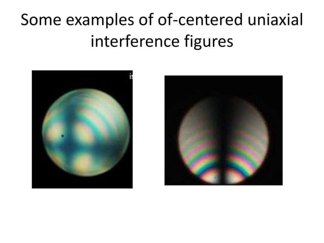 Forms of uniaxial interference figures | PPT