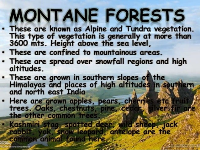 natural vegetation & wildlife | PPT