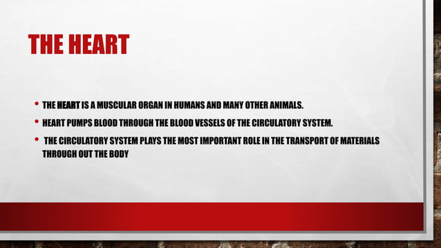 Human Heart | PPT