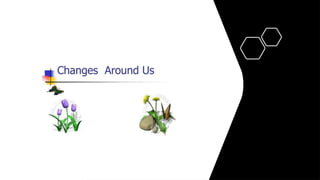 Things Around Us. PowerPoint Presentation | PPT