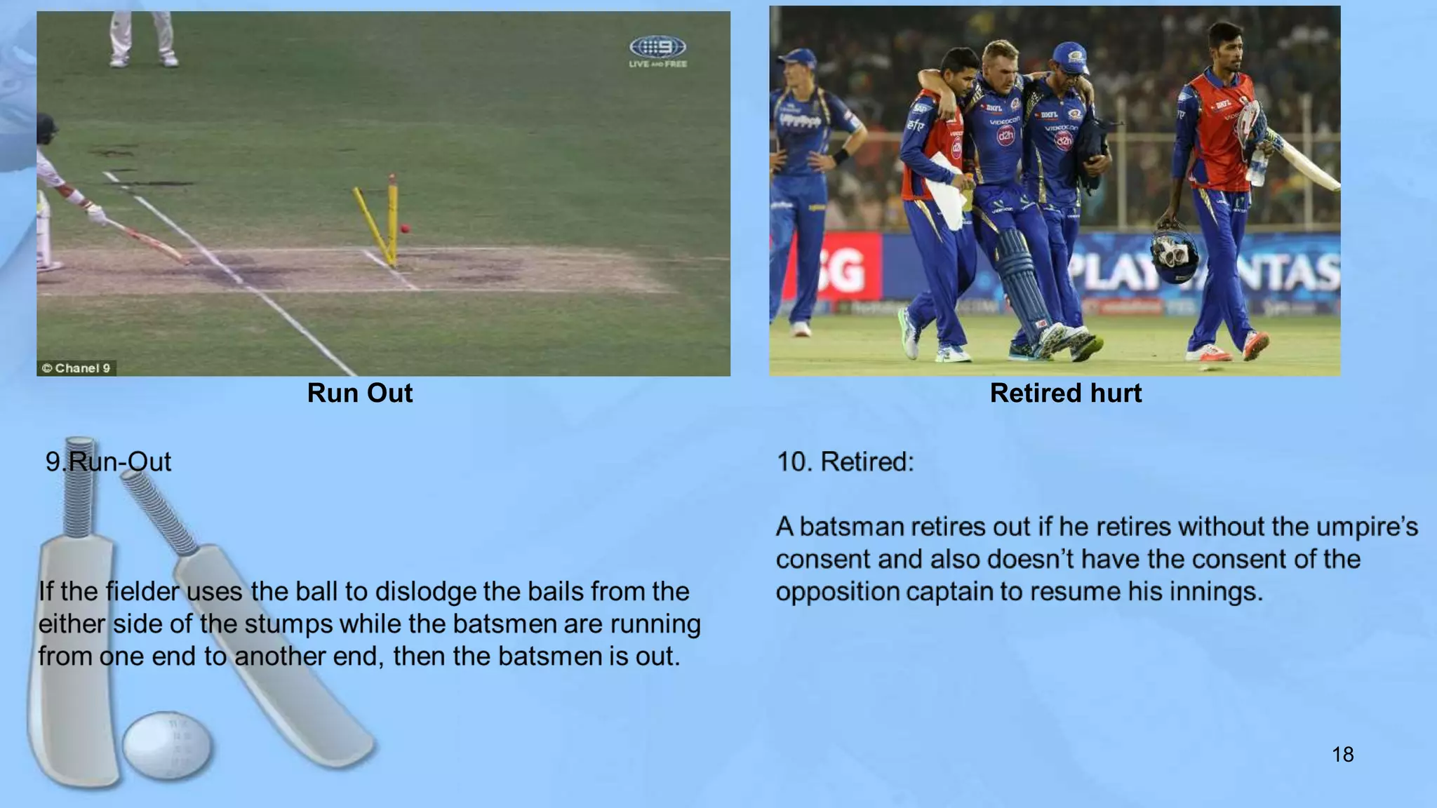 Introduction to the Game of Cricket | PDF