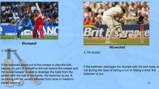 Introduction to the Game of Cricket | PDF