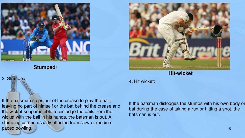 Introduction to the Game of Cricket