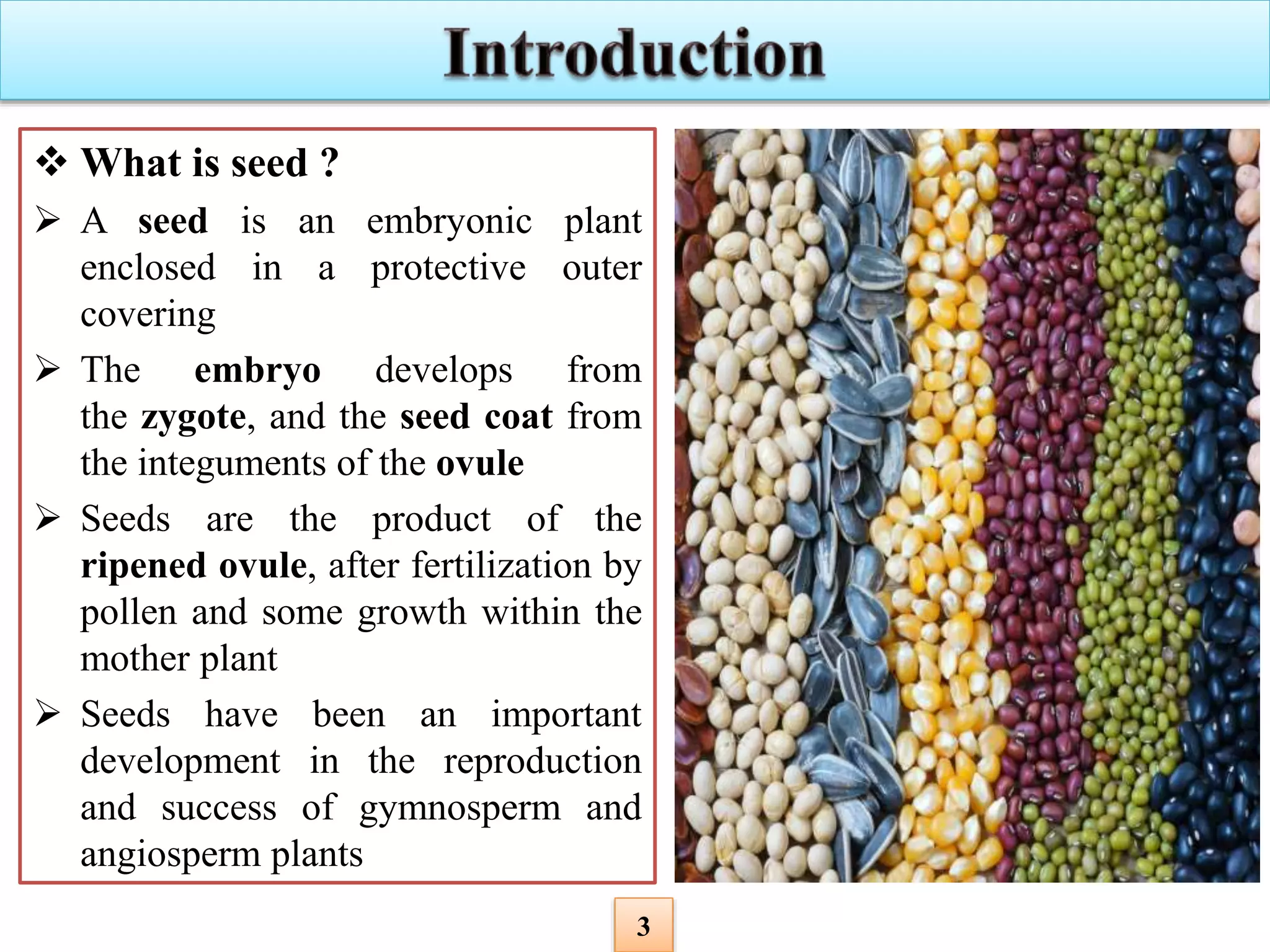 Minimize seed deterioration during it’s storage of orthodox or recalcitrant seed.pptx