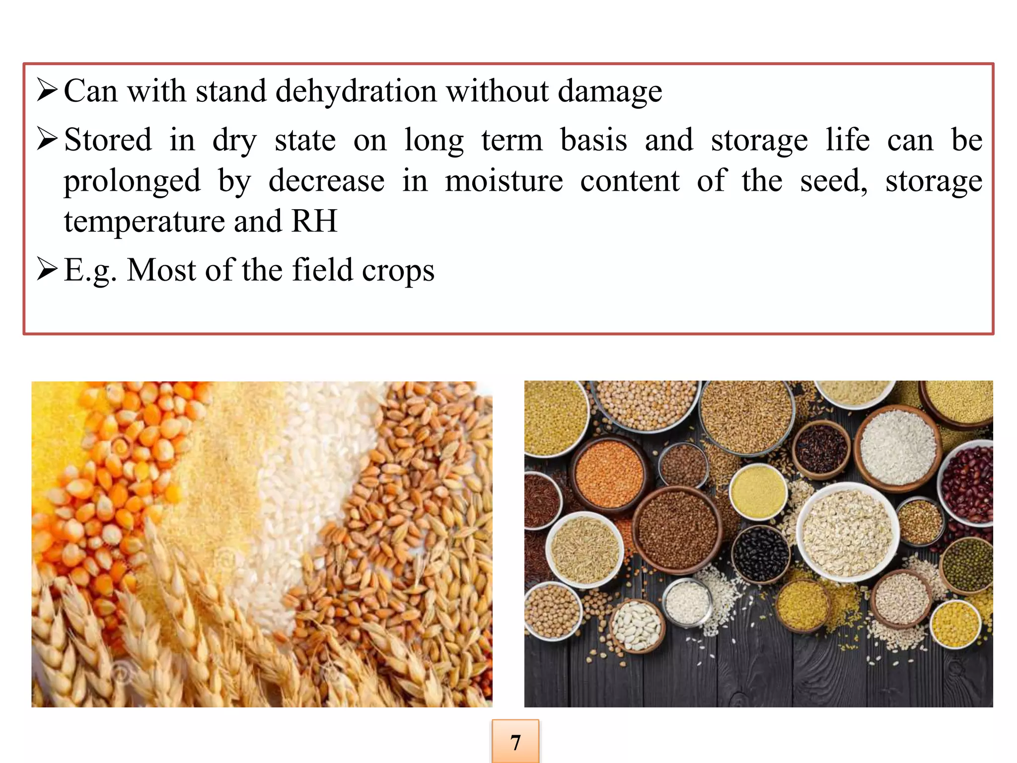Minimize seed deterioration during it’s storage of orthodox or ...