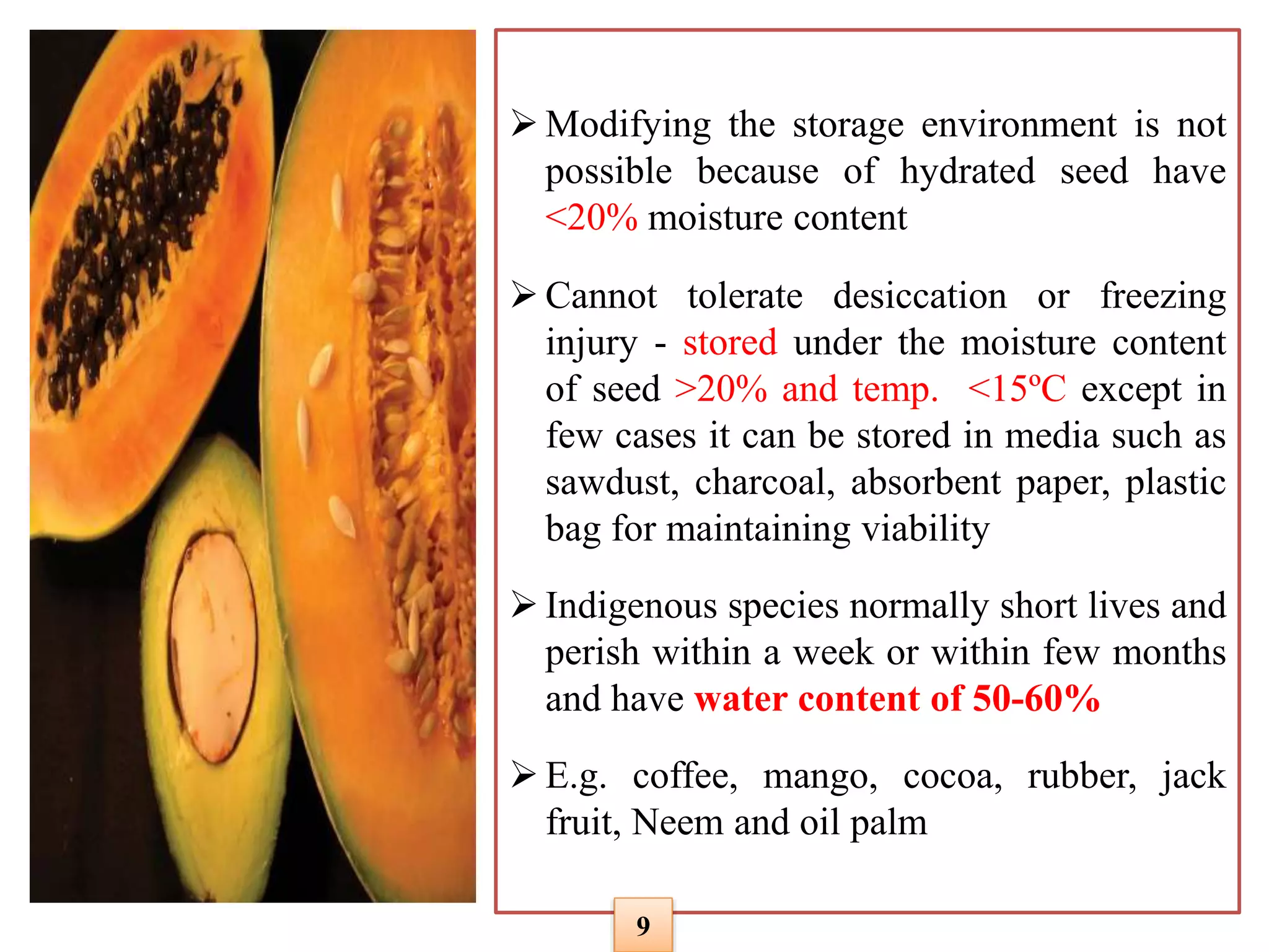 Minimize seed deterioration during it’s storage of orthodox or ...