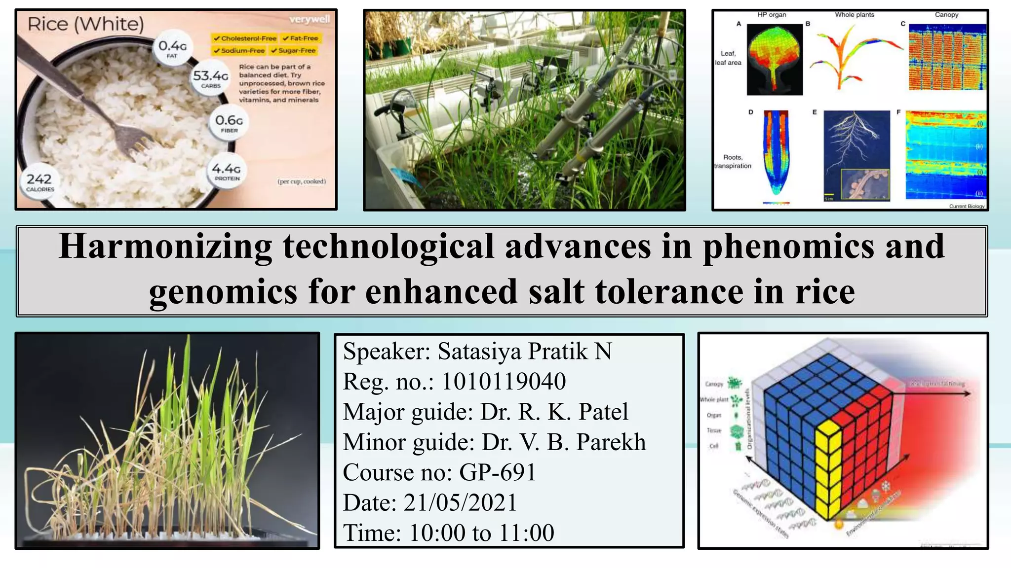 Breeding for salt tolerance in rice: Phenomics and genomics | PPT