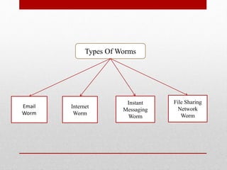 Computer warms viruses trojans and its prevention | PPTX