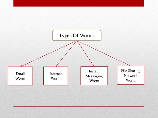 Computer warms viruses trojans and its prevention