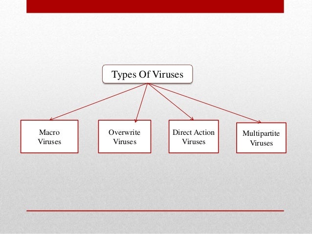Computer warms viruses trojans and its prevention