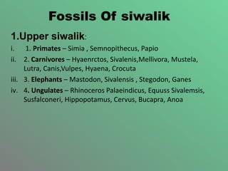 Siwalik Supergroup | PPTX