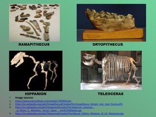 Siwalik Supergroup | PPTX