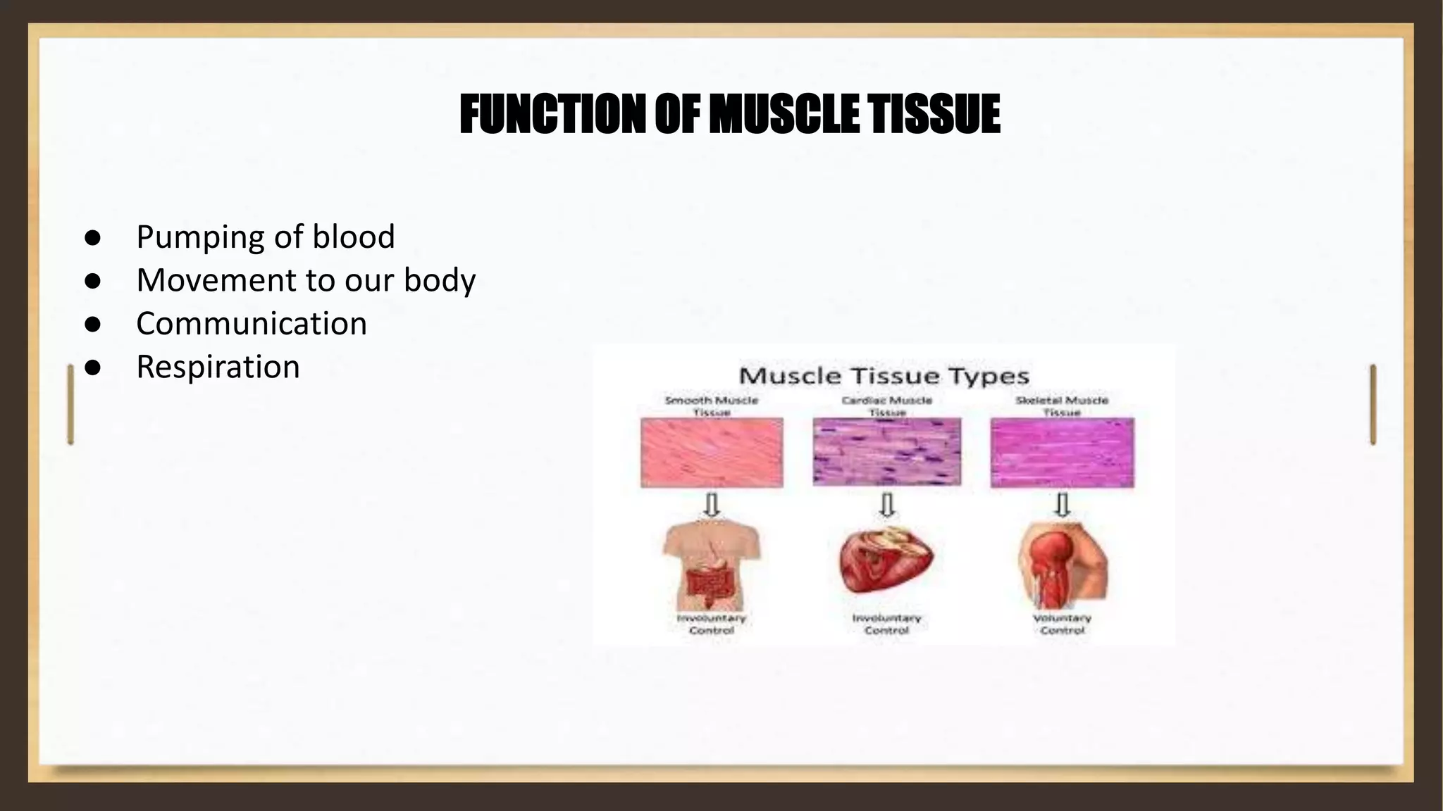 TISSUE CLASSIFICATION | PPTX