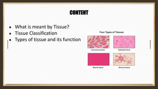 TISSUE CLASSIFICATION | PPTX