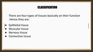 TISSUE CLASSIFICATION | PPTX
