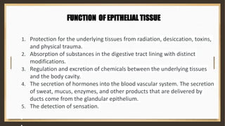 TISSUE CLASSIFICATION | PPTX