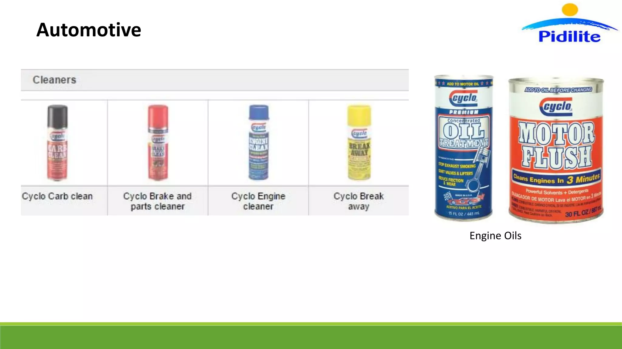 Pidilite - VALS Framework | PDF