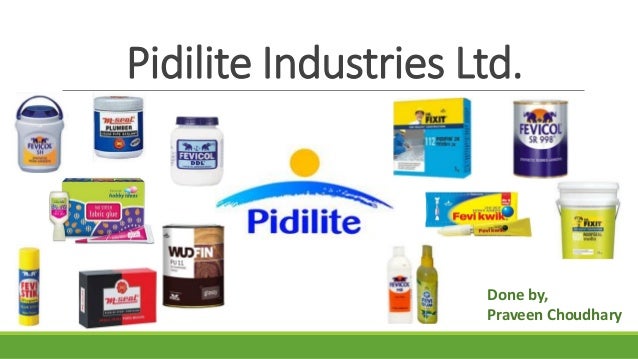 Pidilite - VALS Framework