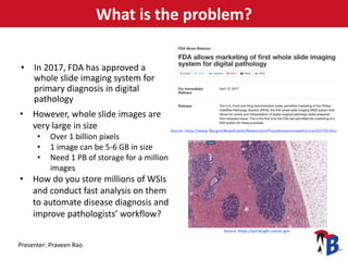 NiDAN Pathology Software | PPT