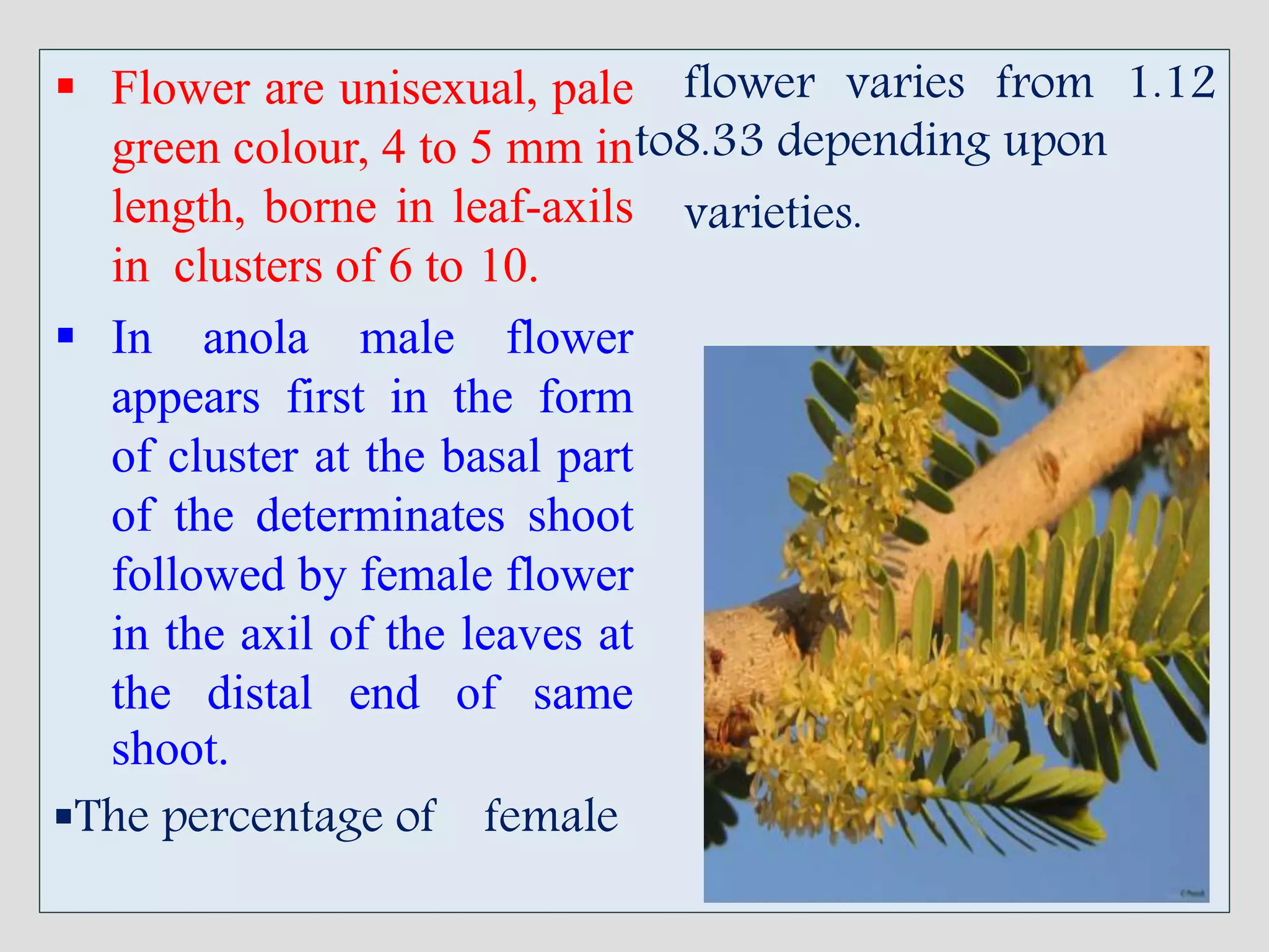 Crop improvement and recent advances in Anola | PPTX