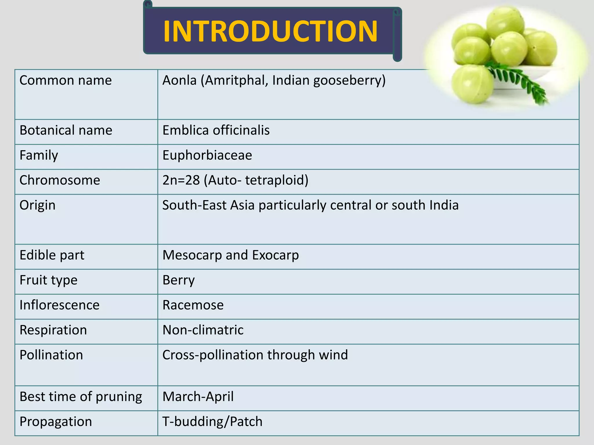 Crop improvement and recent advances in Anola | PPTX