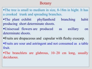 Crop improvement and recent advances in Anola | PPTX