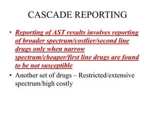PRAVEEN CASCADE REPORTING PRESENTATION.pptx