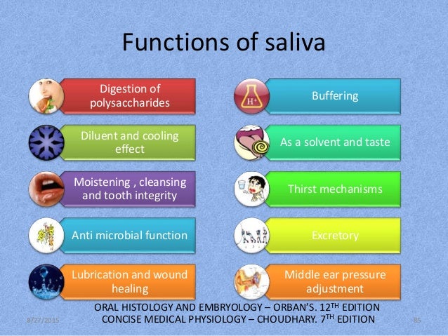 saliva - body's mirror