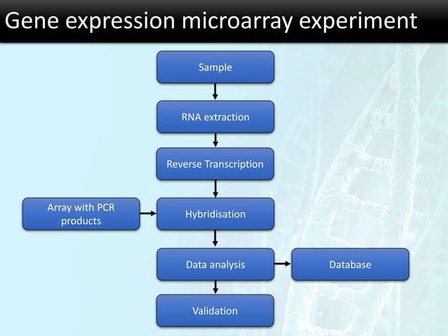 Genomics, Transcriptomics, Proteomics, Metabolomics - Basic concepts ...