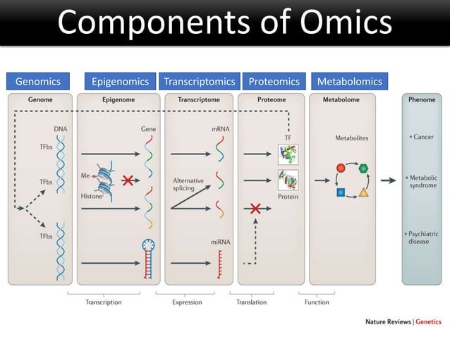 Genomics, Transcriptomics, Proteomics, Metabolomics - Basic concepts for clinicians | PPTX