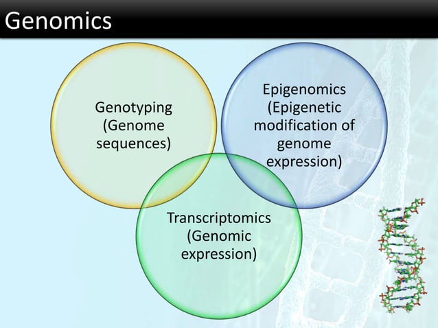 Genomics Transcriptomics Proteomics Metabolomics Basic Concepts