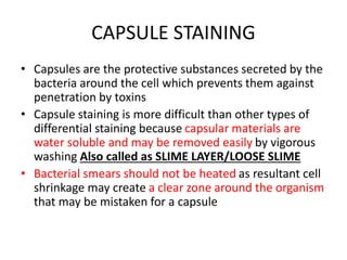 SPECIAL BACTERIAL STAINING | PPTX