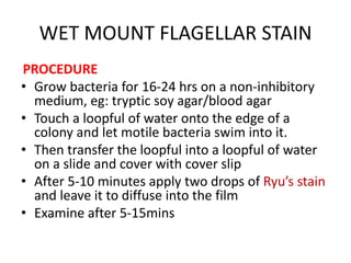 SPECIAL BACTERIAL STAINING | PPTX