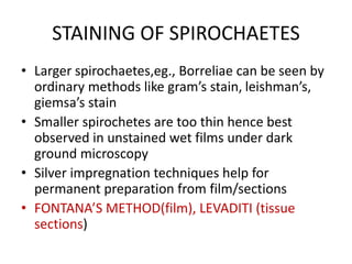 SPECIAL BACTERIAL STAINING | PPTX