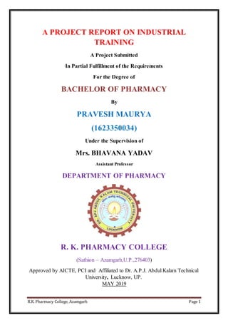 INDUSTRIAL TRAINING REPORT | DOCX