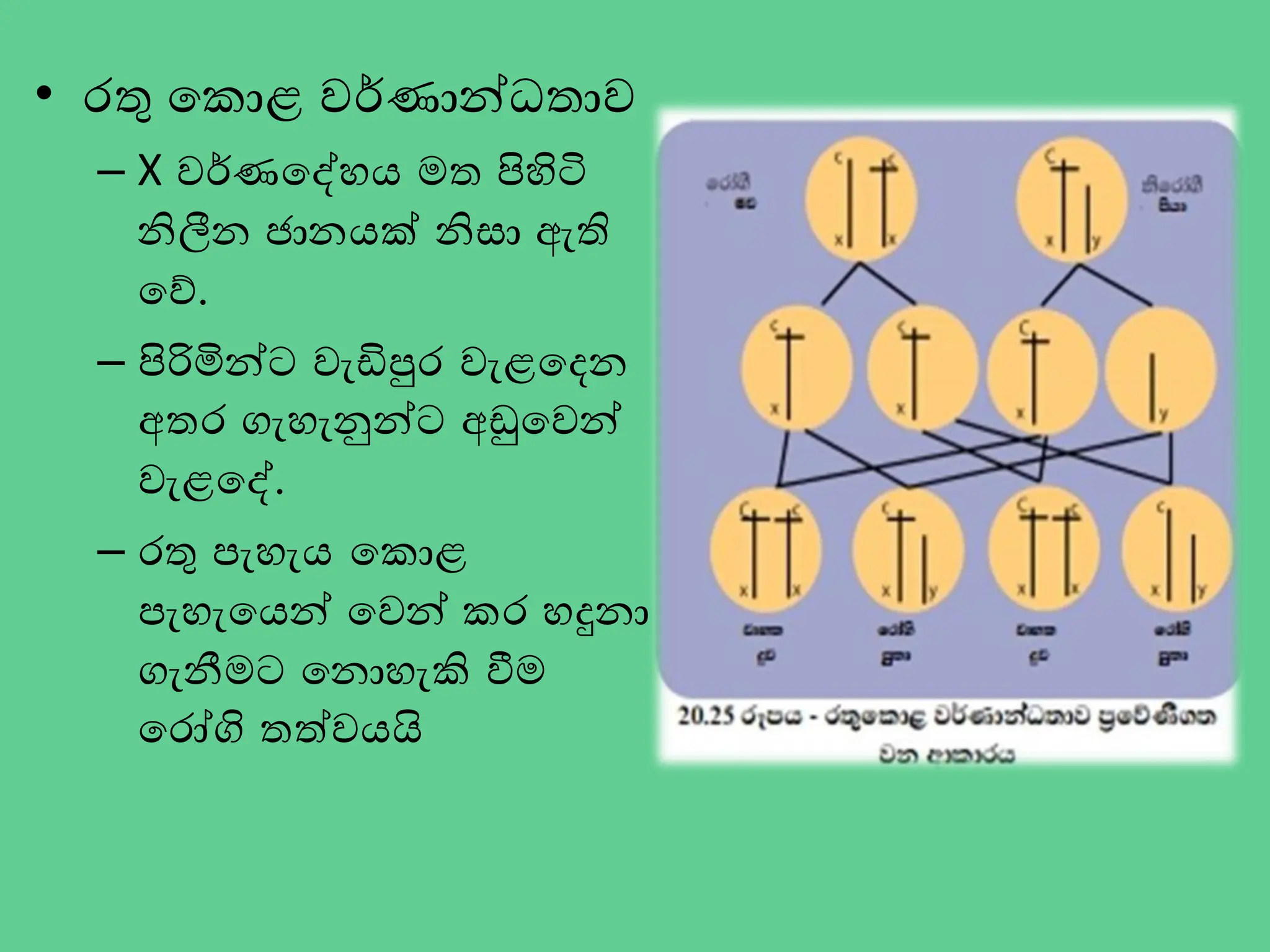Praweniya-–-Grade-10-Science-Lesson-20-Short-Note.pdf