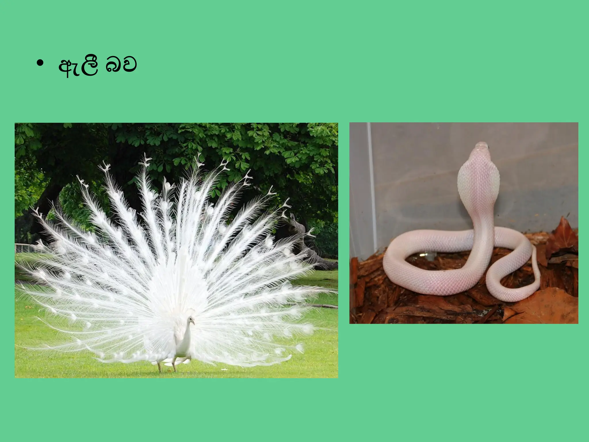 Praweniya-–-Grade-10-Science-Lesson-20-Short-Note.pdf