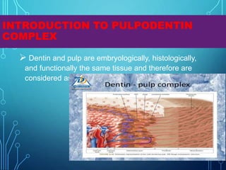 response of pulpodentin complex to stimuli | PPTX